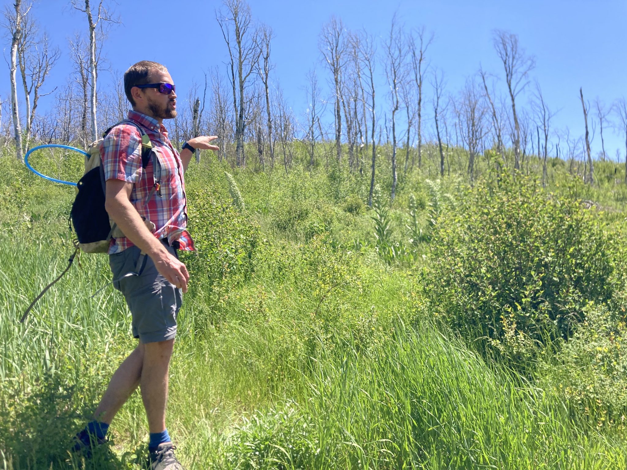 Aspen Public Radio: Climate change kindles bigger, hotter wildfires ...