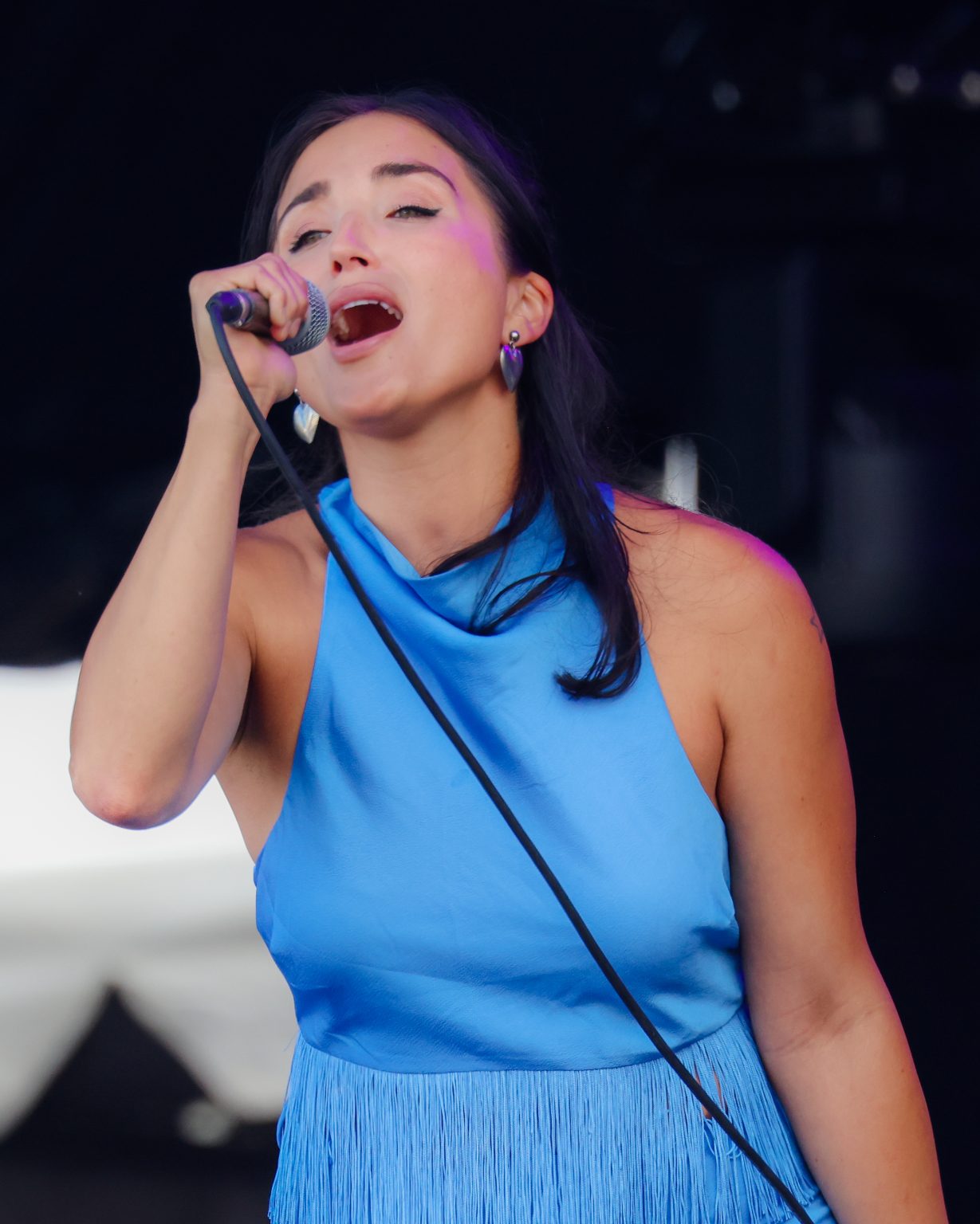 Photos: JAS Day 3 with the Foo Fighters and Billy Idol | AspenTimes.com