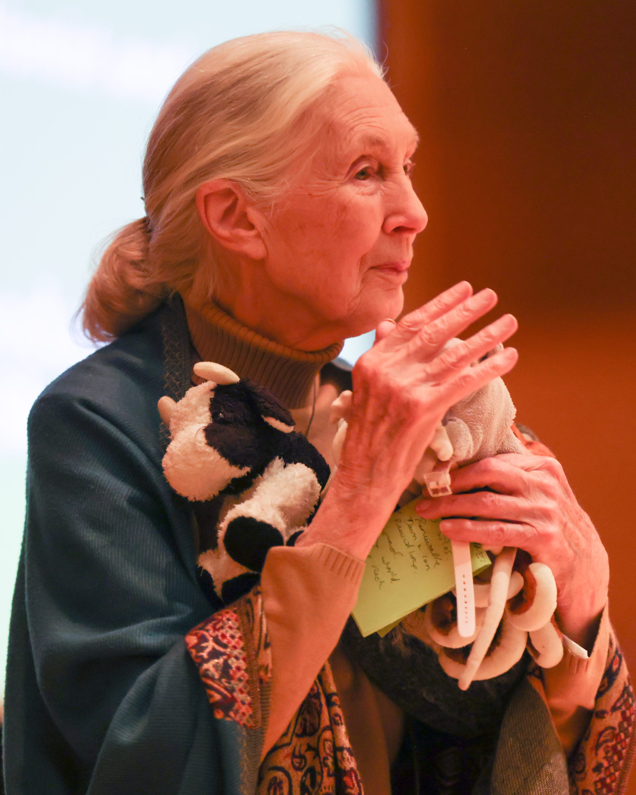 Dr. Jane Goodall returns to Aspen, sends message of hope to youth ...