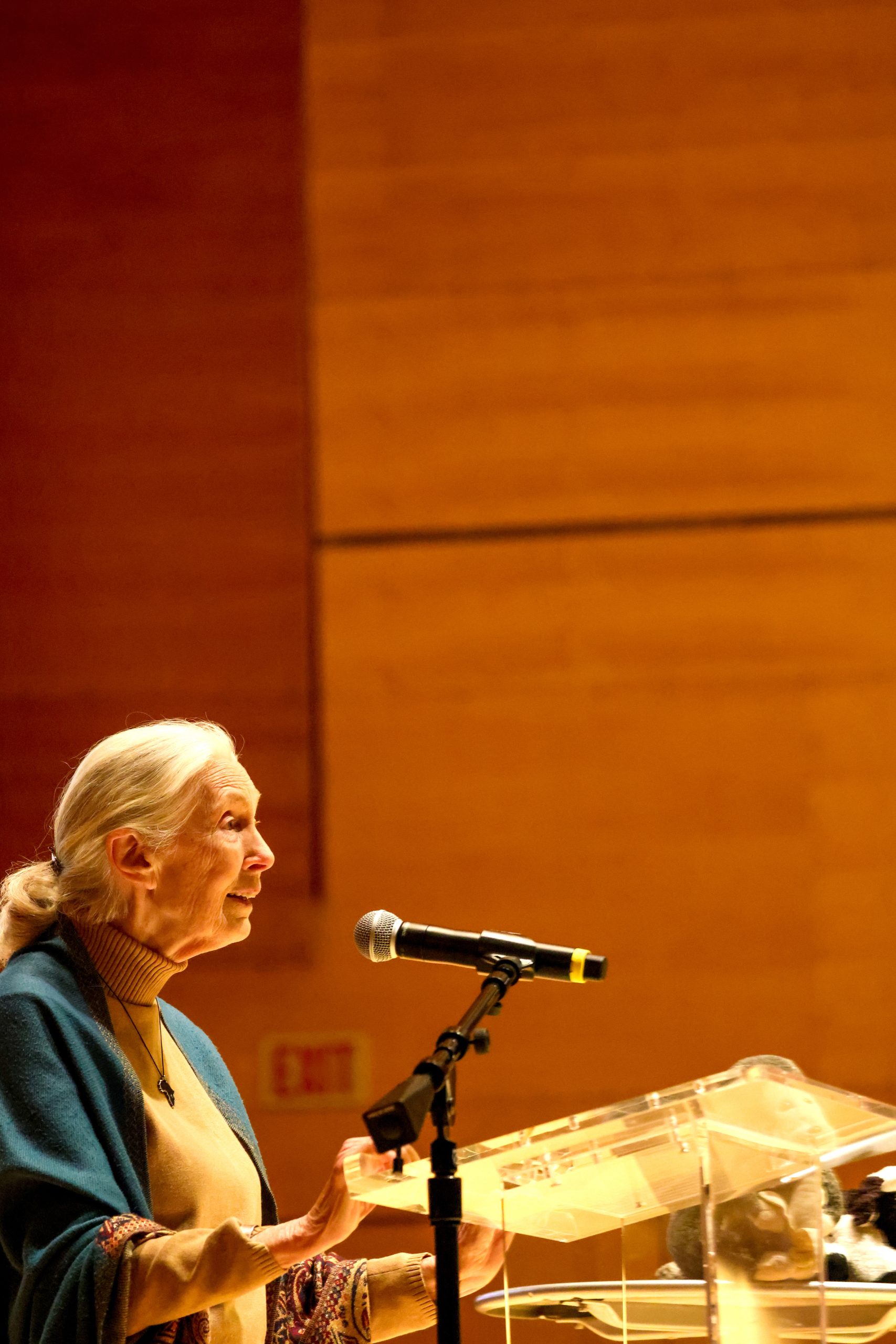 Dr. Jane Goodall returns to Aspen, sends message of hope to youth ...