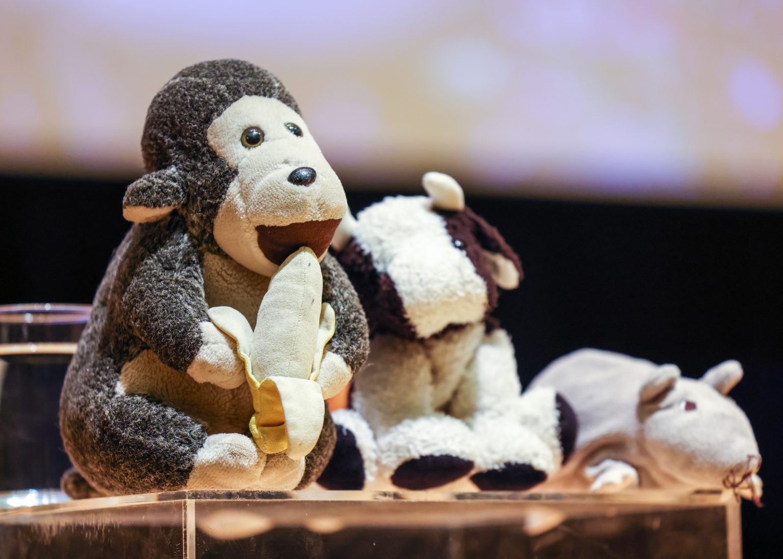 Dr. Jane Goodall returns to Aspen, sends message of hope to youth ...