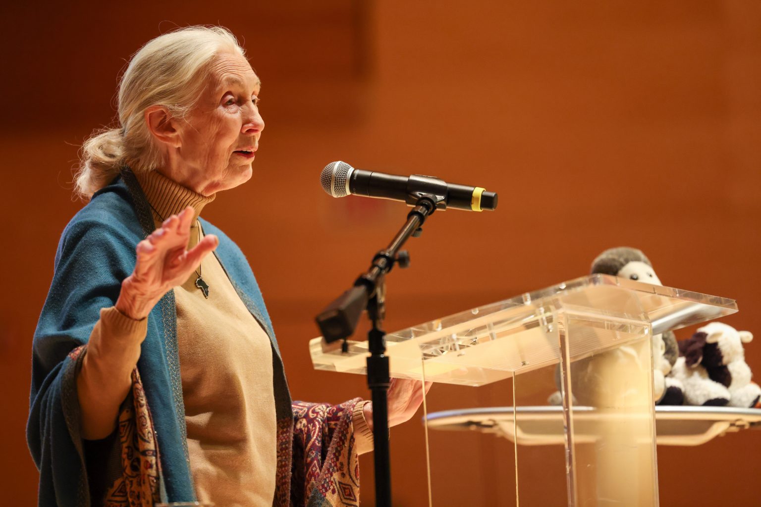 Dr. Jane Goodall returns to Aspen, sends message of hope to youth ...