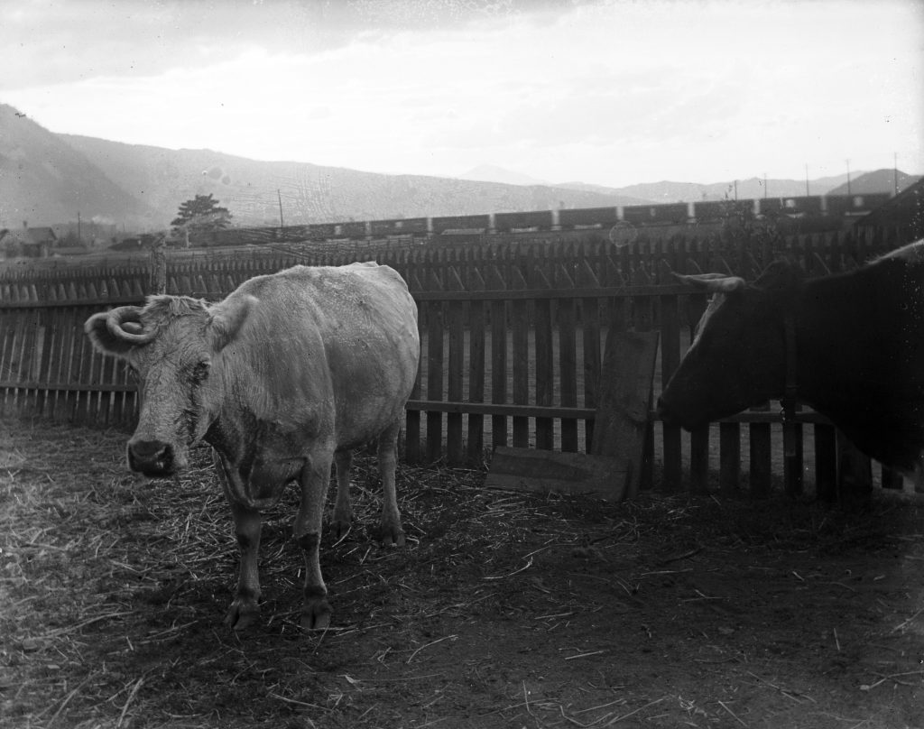 This week in Aspen history | AspenTimes.com