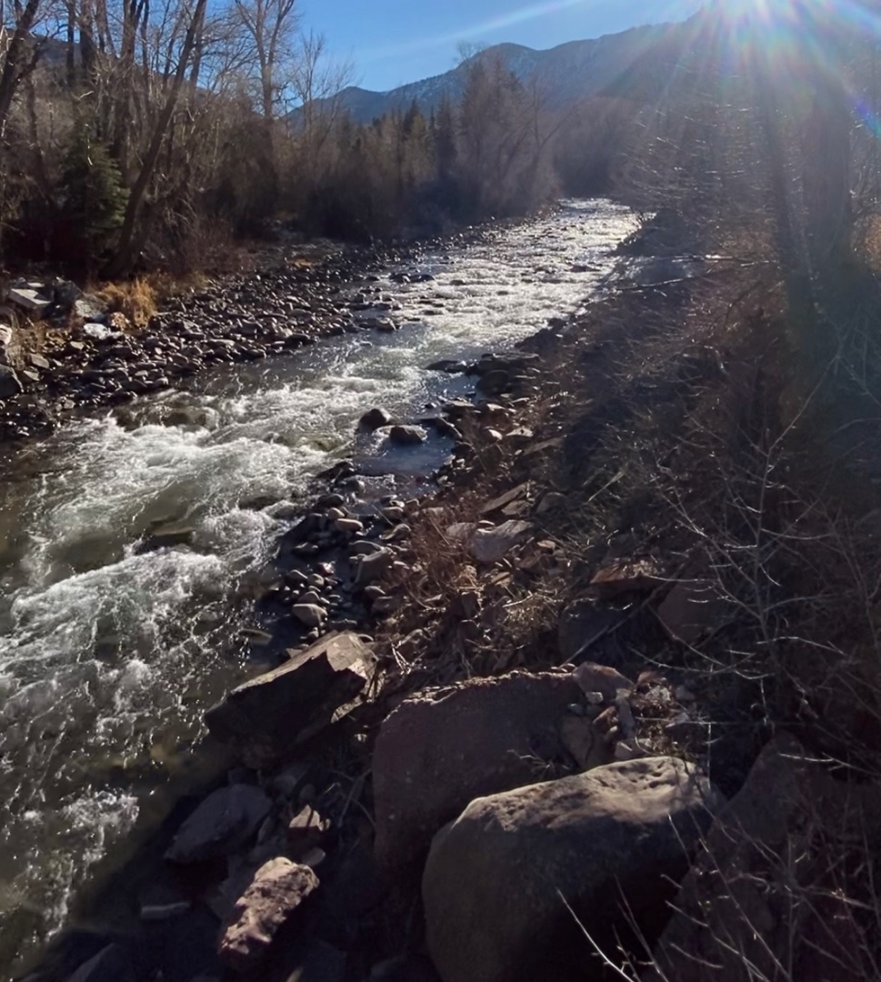 Crystal River protection alternatives considered by community ...