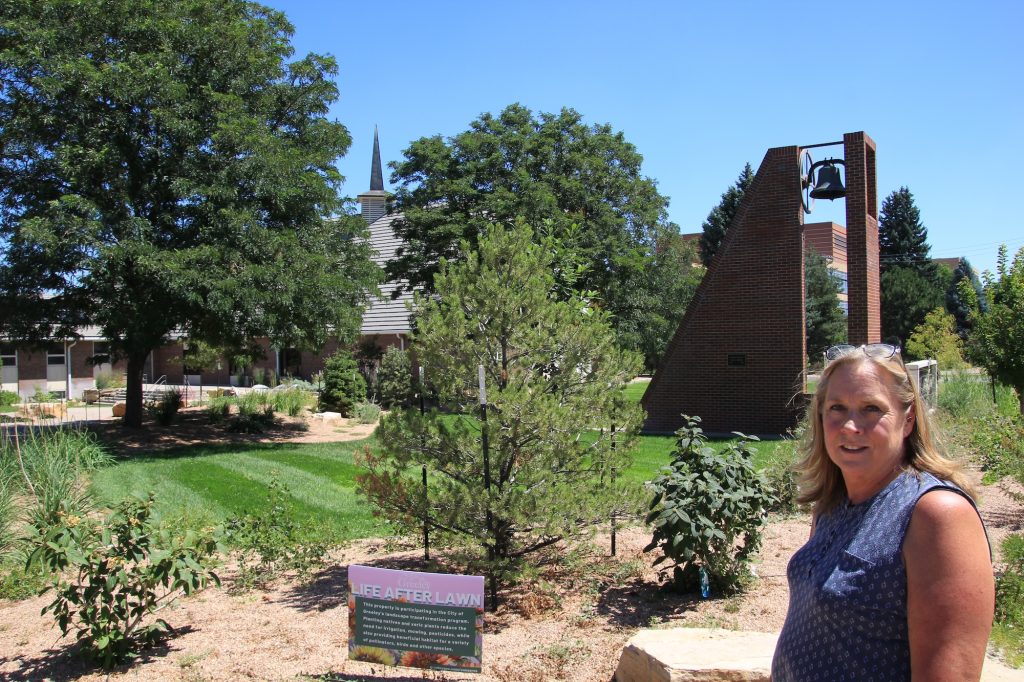 How thirsty bluegrass lawns became the default for homeowners ...