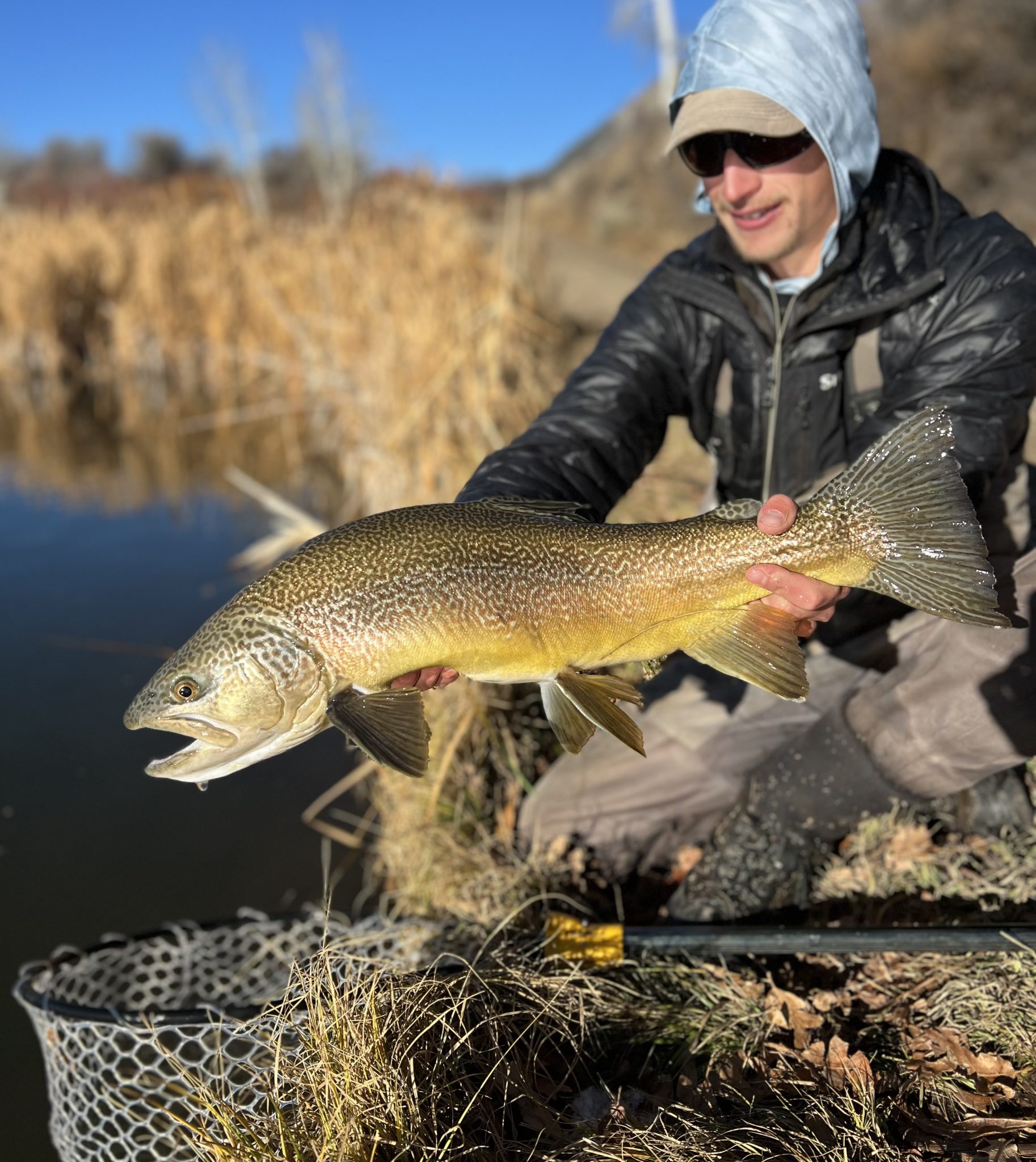 On the Fly: Giving thanks to the Roaring Fork Valley | AspenTimes.com