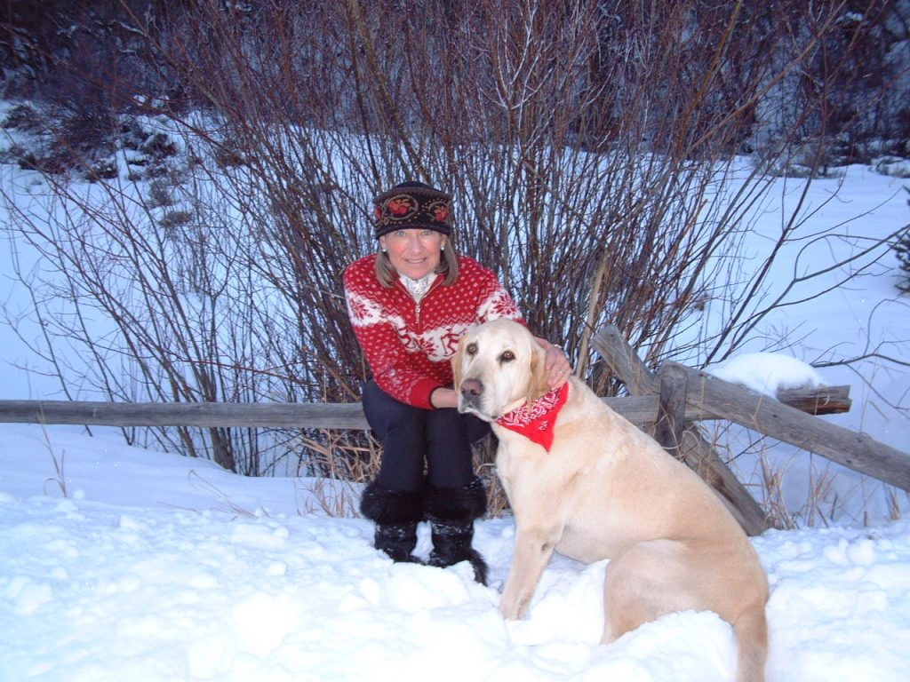 Aspen author hosts storytelling, singalong for ‘Fraser the Yellow Dog ...