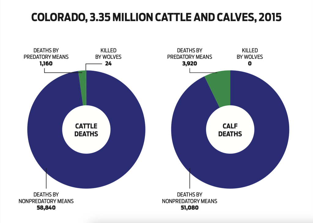 What’s behind the resistance to wolves in Colorado? | AspenTimes.com