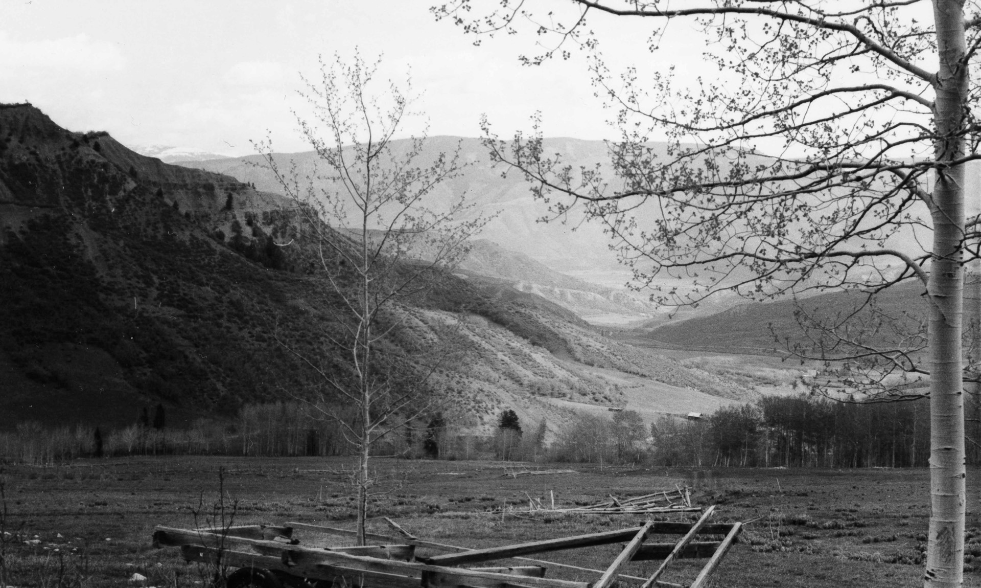 Rural Free Delivery | AspenTimes.com