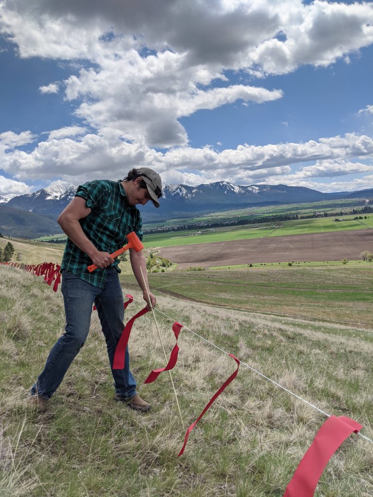 Native-carnivore bill would tie depredation compensation to coexistence ...