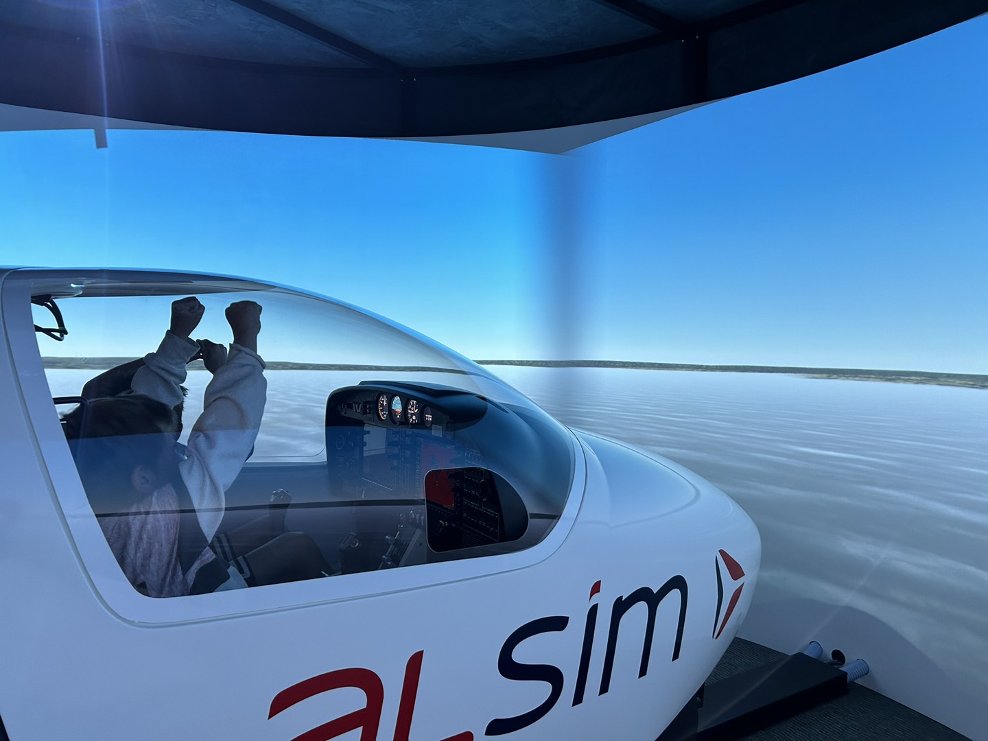 Aspen Elementary School students use flight simulator to better ...