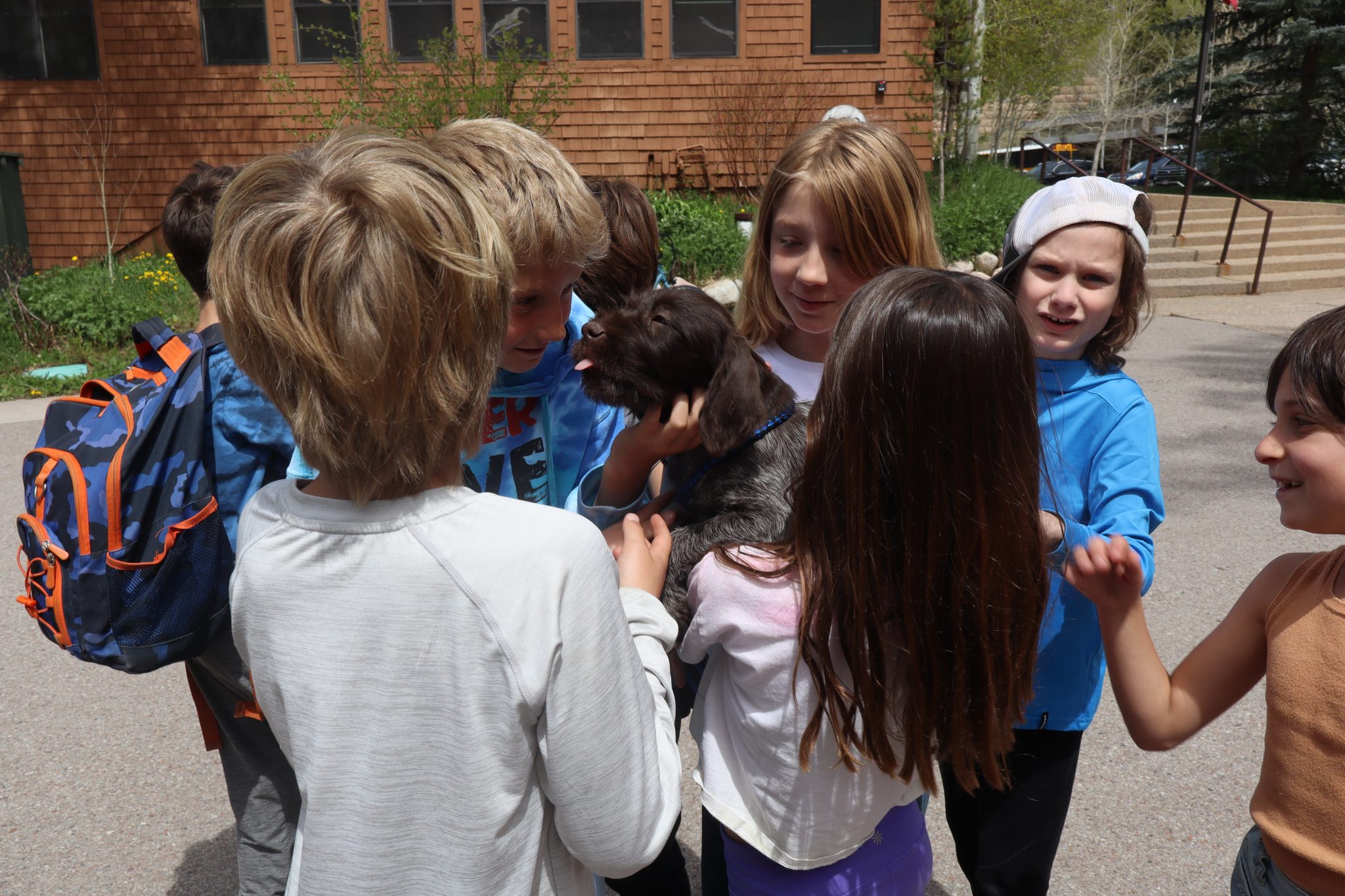 PHOTOS: Aspen Country Day School hosts pet parade | AspenTimes.com