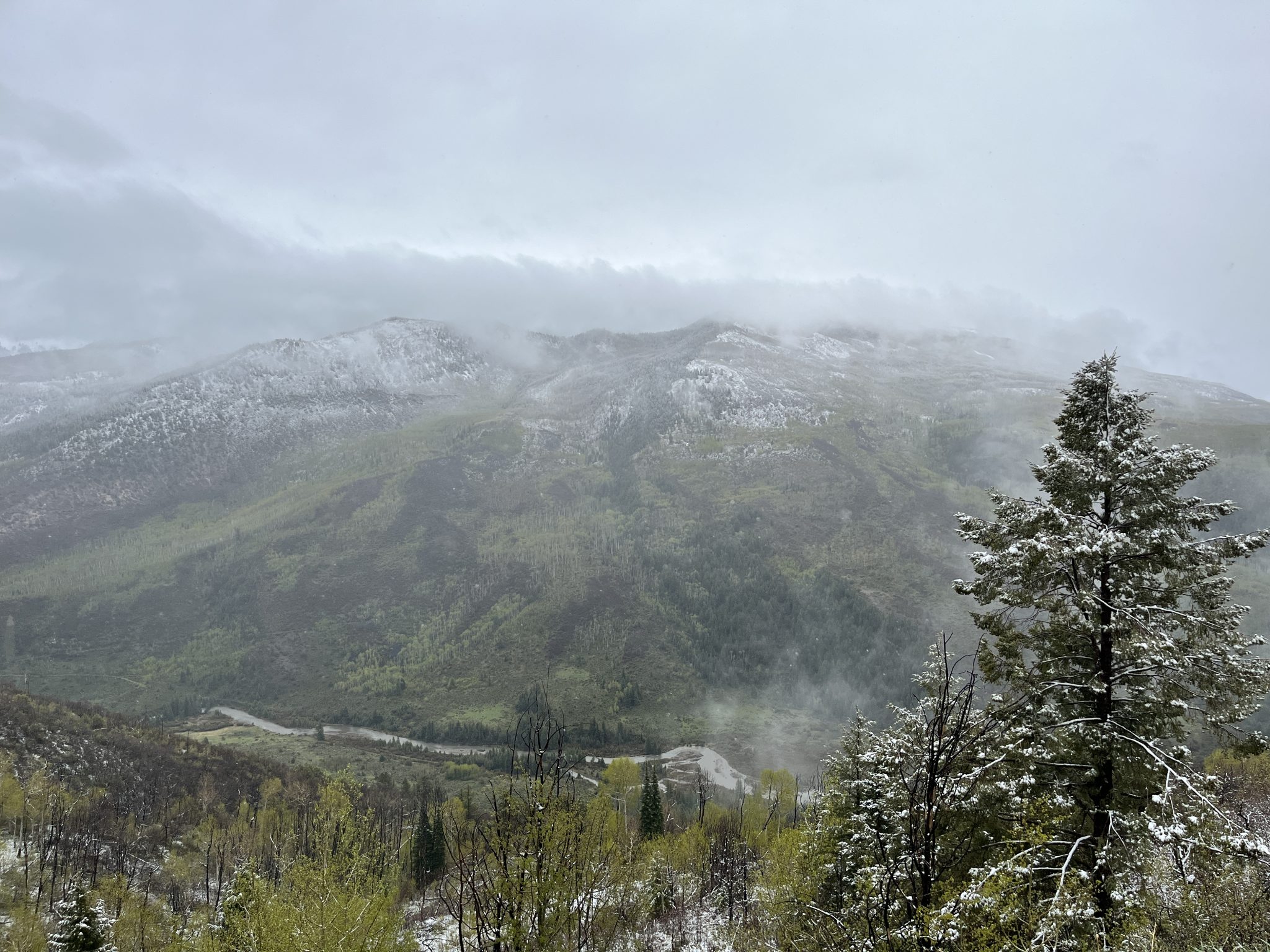 Eight survive after raft capsizes into Crystal River | AspenTimes.com