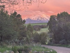 Discover Cedar Ridge Ranch: An agritourism hub with horses, glamping ...