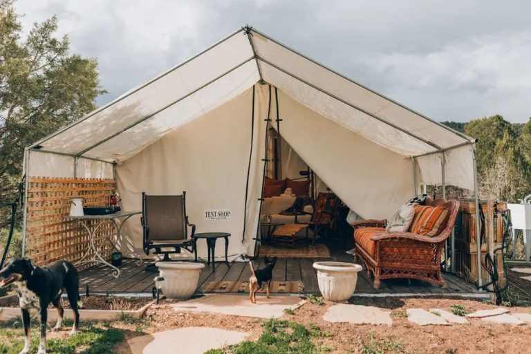 Discover Cedar Ridge Ranch: An agritourism hub with horses, glamping ...