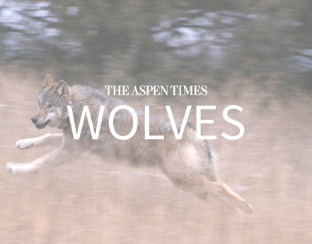 Wolves | AspenTimes.com
