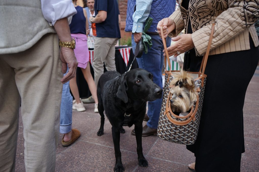 PHOTOS: Kitty the St. Regis resort dog celebrates his sixth birthday ...