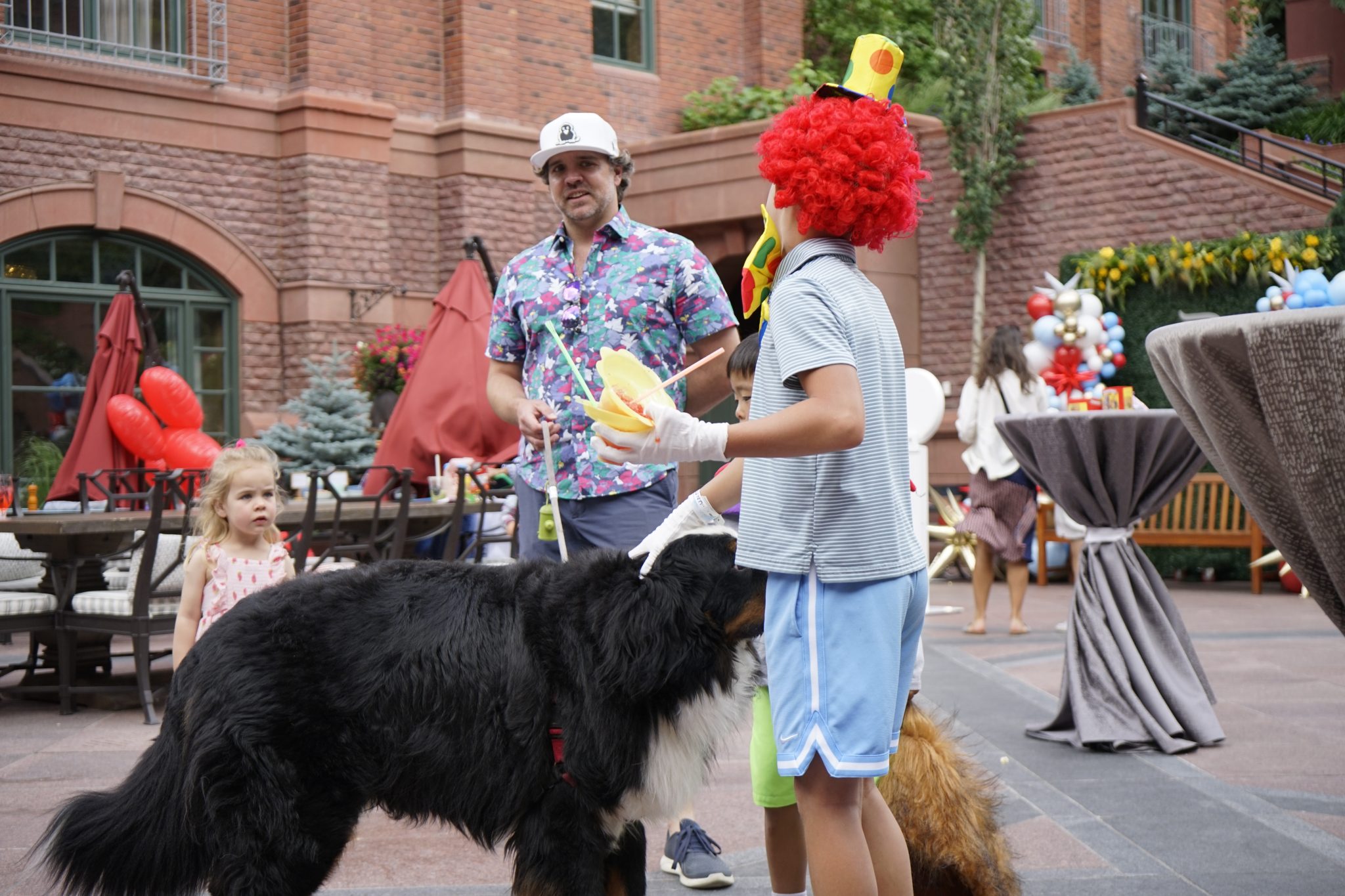 PHOTOS: Kitty the St. Regis resort dog celebrates his sixth birthday ...