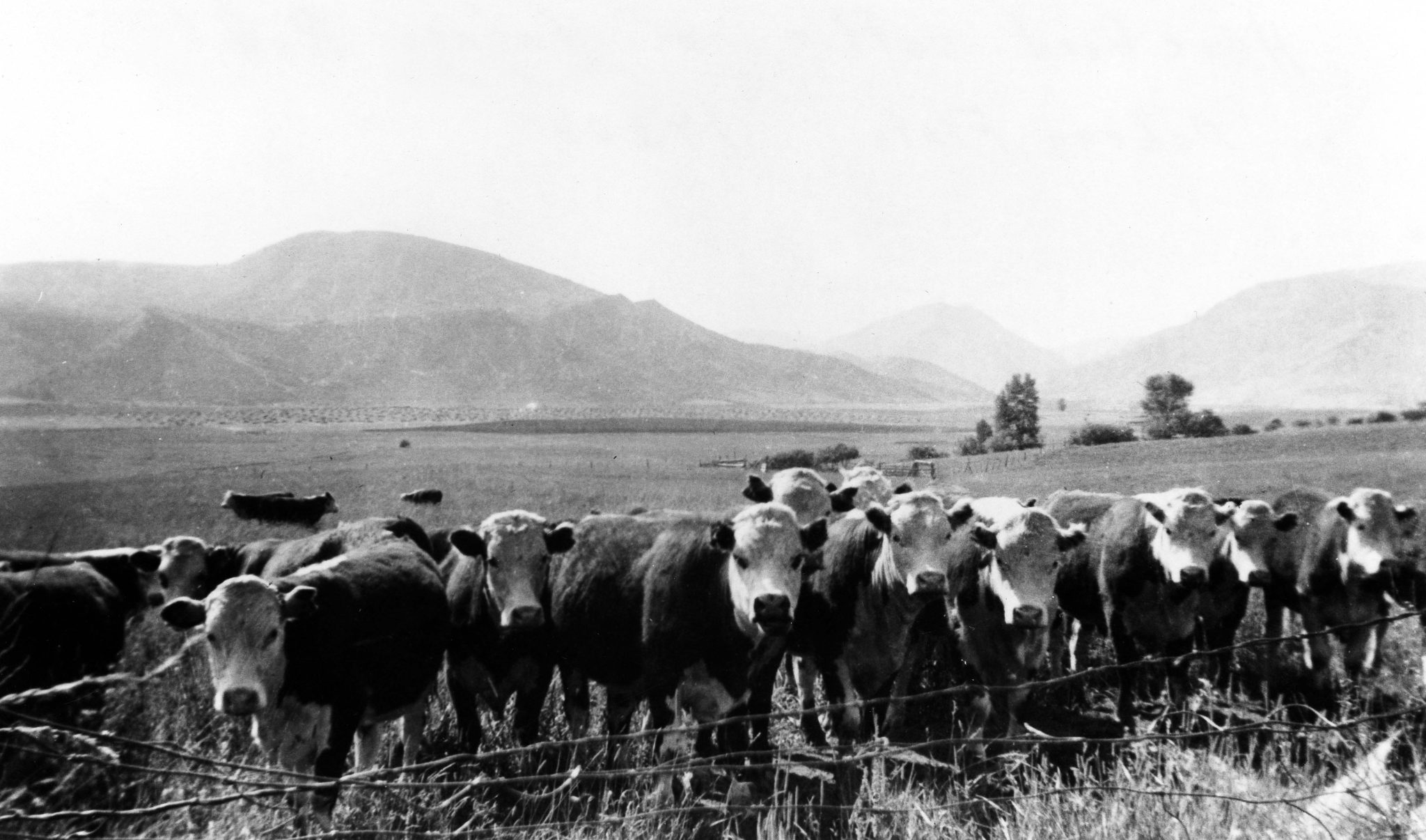 This week in Aspen history | AspenTimes.com