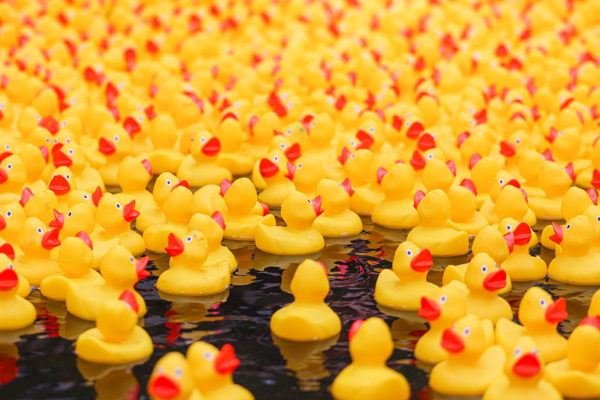 PHOTOS: Aspen Rotary’s Ducky Derby flocks to Roaring Fork River for ...