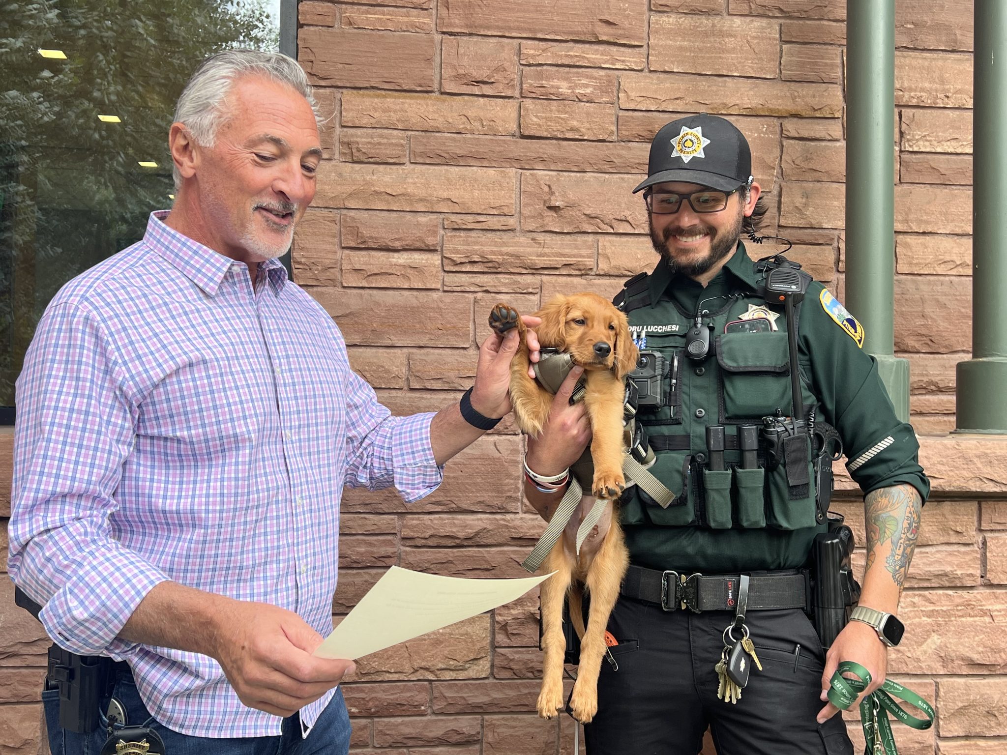 Meet Otto, Pitkin County Sheriff’s newest — and first ever — K9 trainee ...