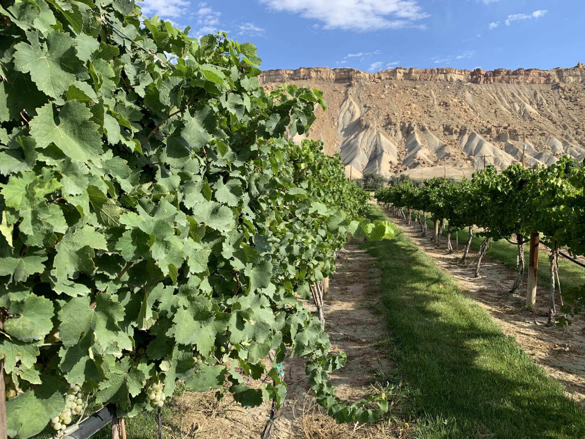 Aspen Journalism: Grand Valley water managers have plan to outmuscle ...