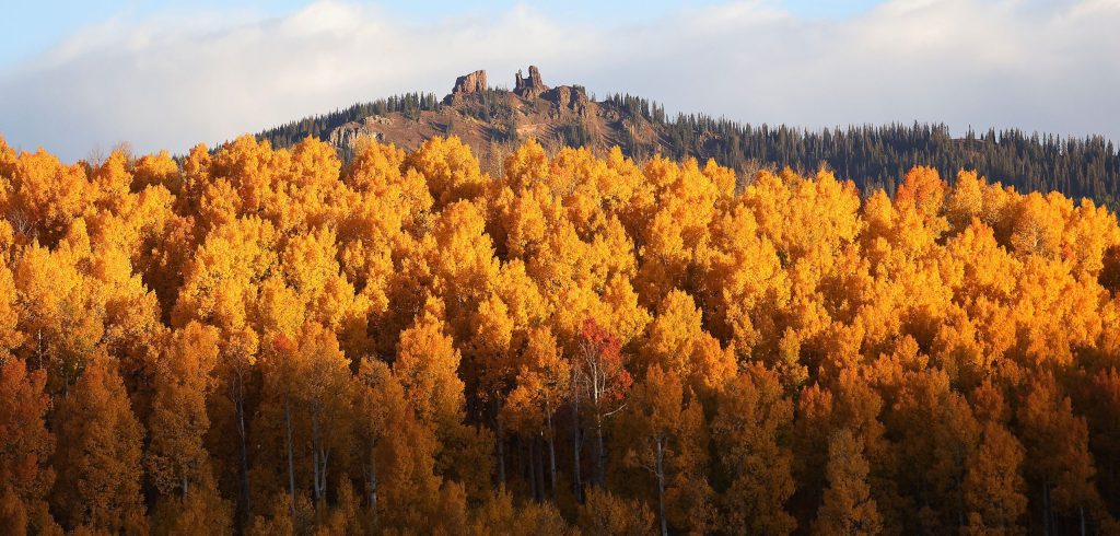 See when and where Colorado’s fall color will peak this year ...