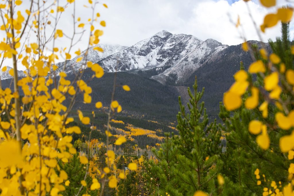 See when and where Colorado’s fall color will peak this year ...
