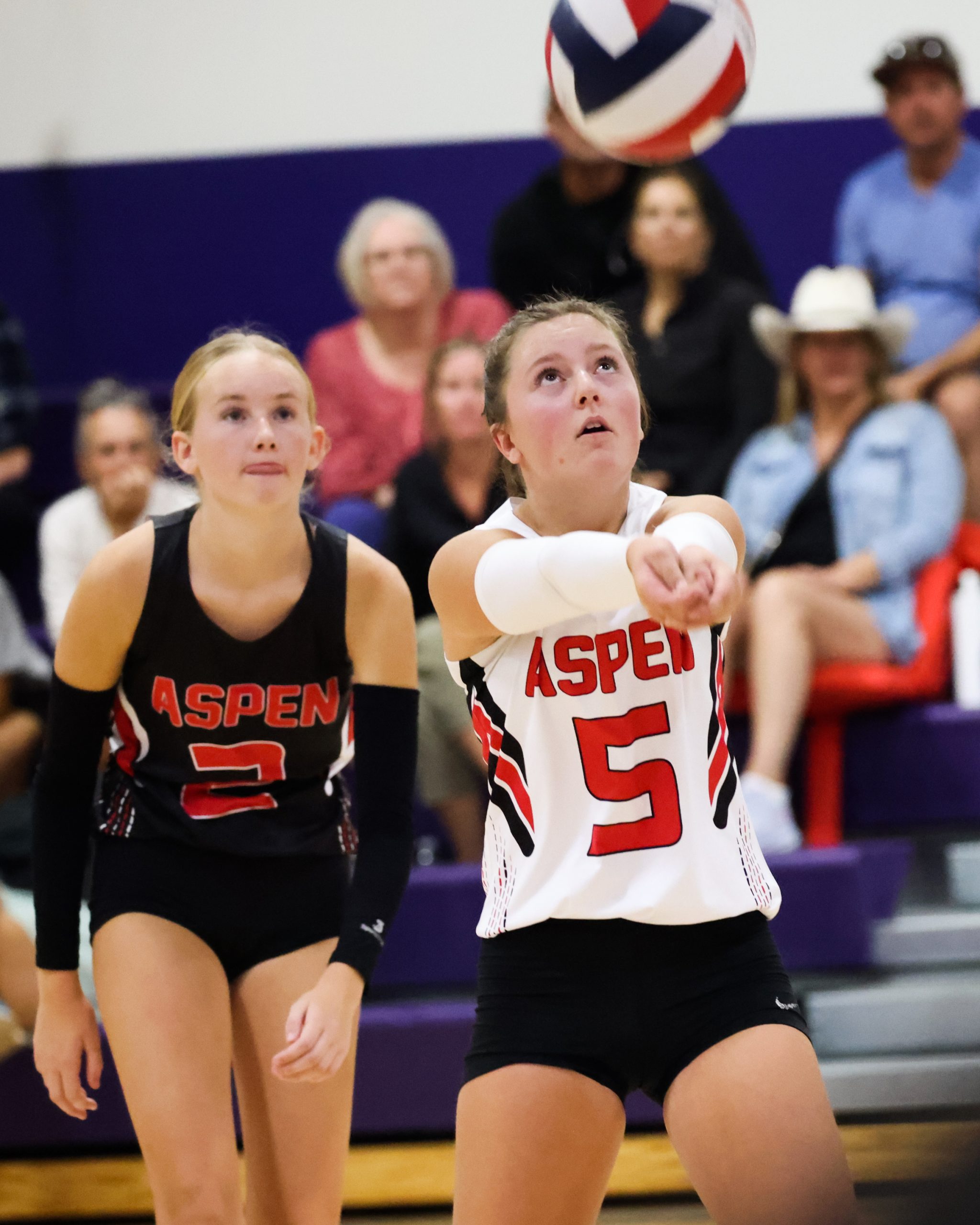 Volleyball: Aspen heads to regionals against Cedaredge, Peak to Peak ...