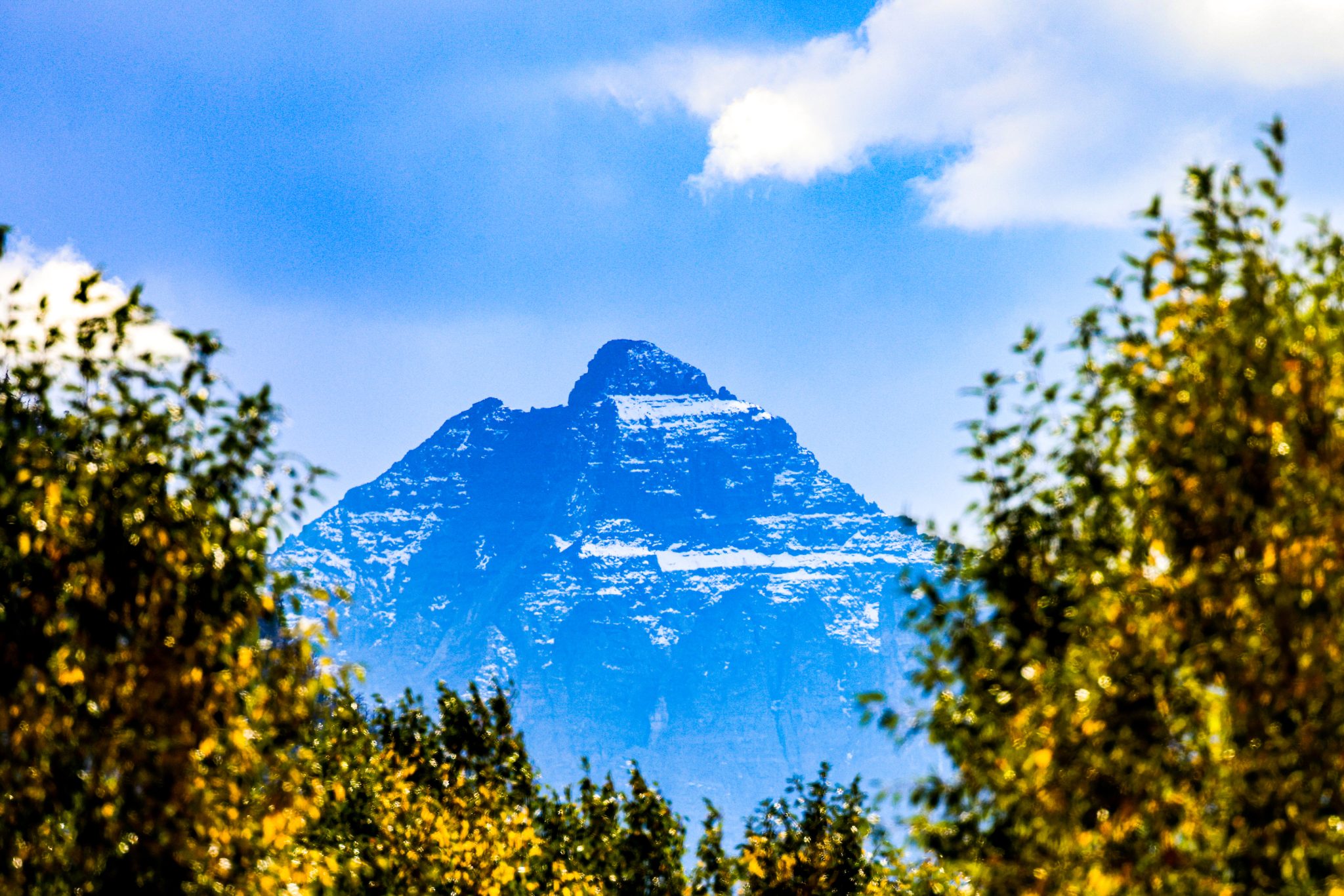 PHOTOS: It’s peak leaf-changing season in Pitkin County | AspenTimes.com