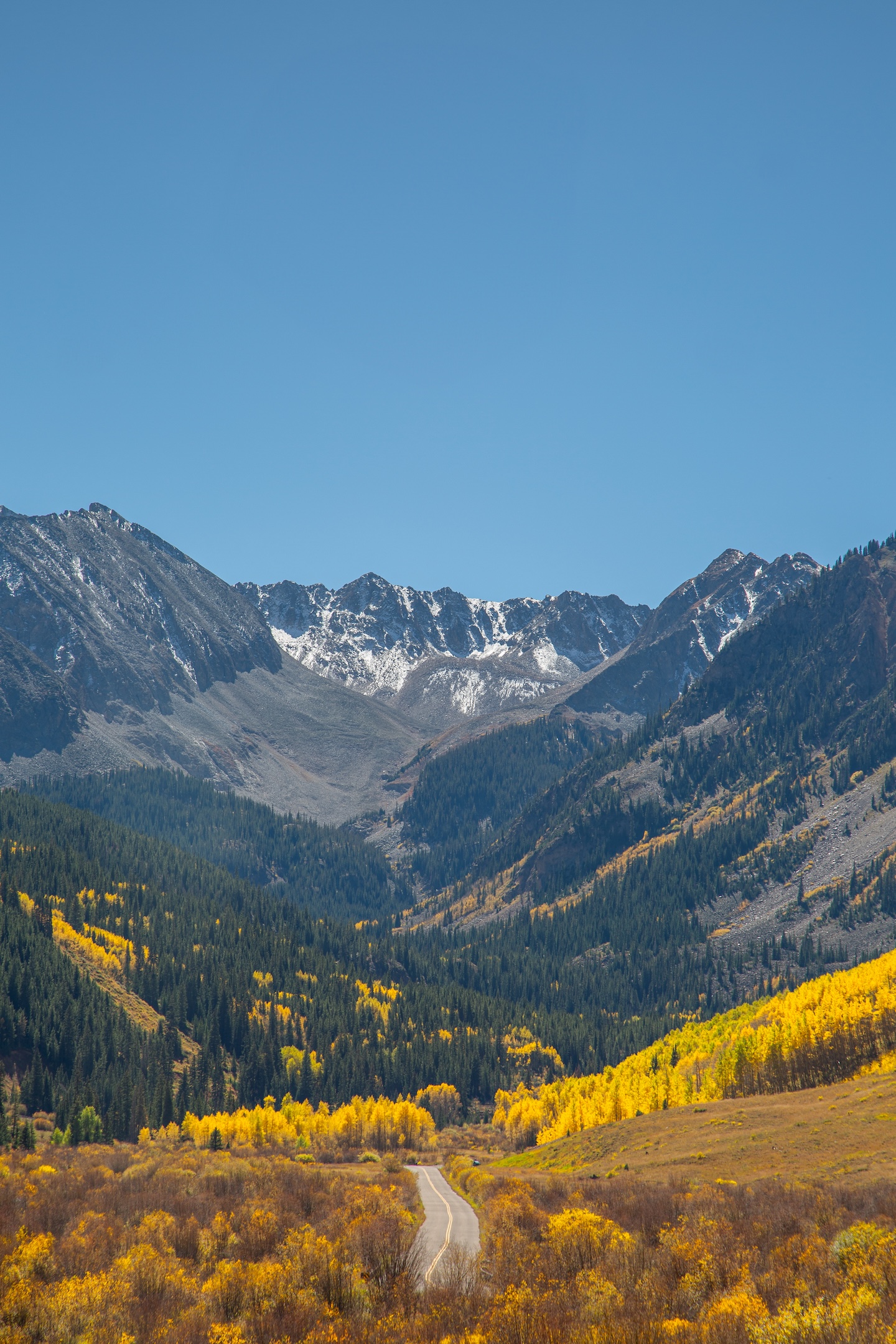 PHOTOS: It’s peak leaf-changing season in Pitkin County | AspenTimes.com