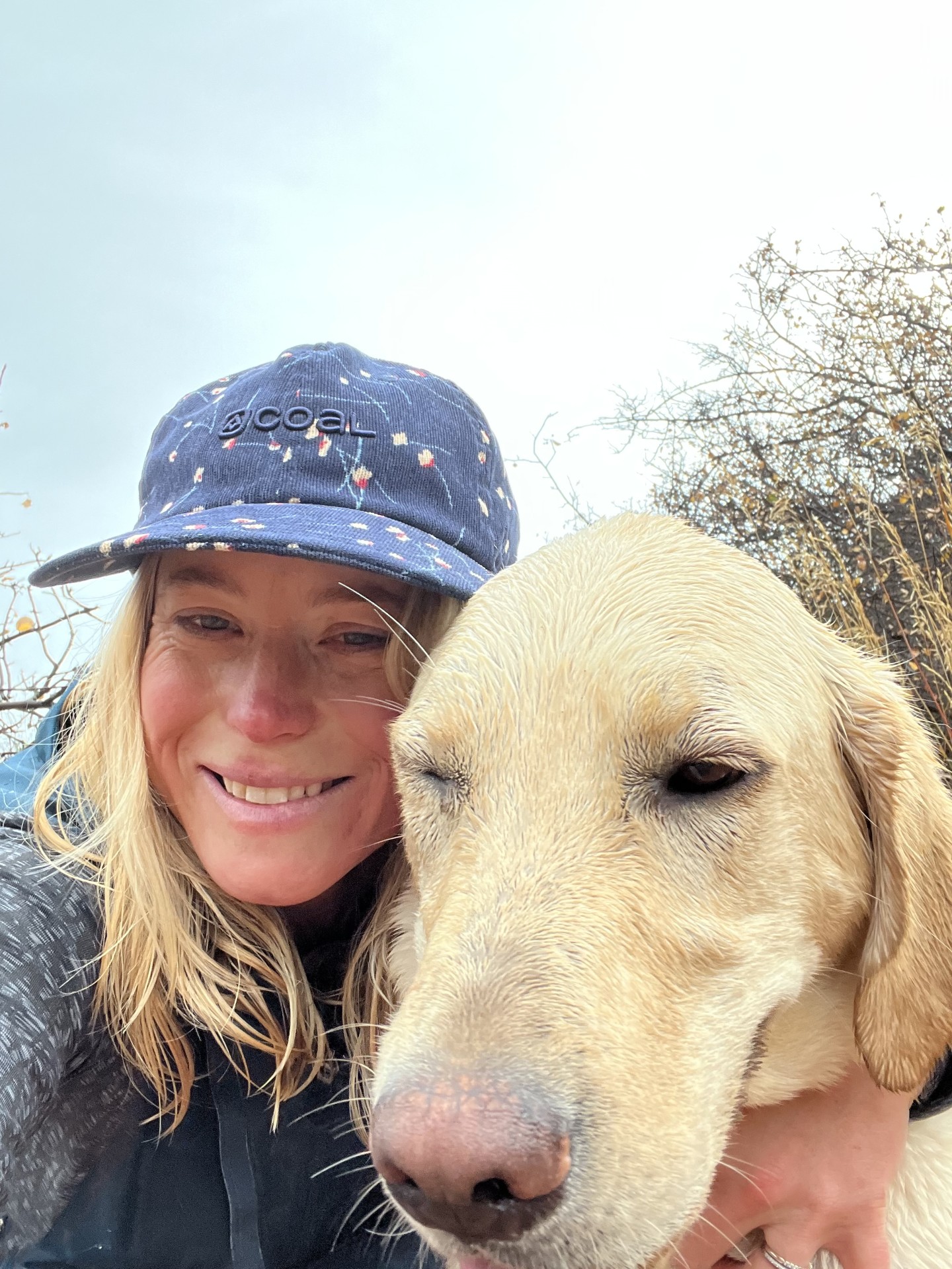 Bogan: Animal care program helps high school students prepare for the ...