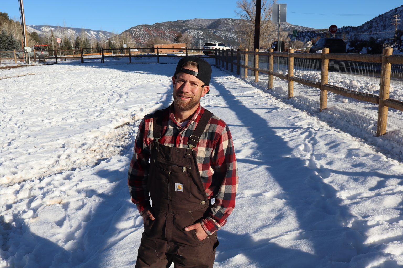 Rare Meishan pigs call the Roaring Fork Valley home | AspenTimes.com