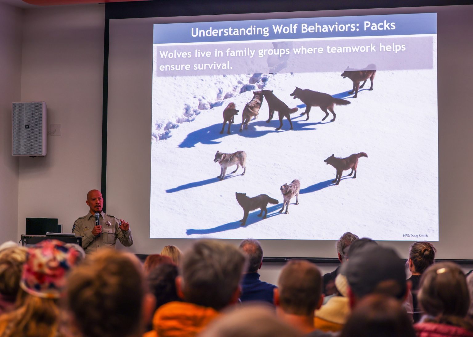 With wolves on the Aspen doorstep, CPW hosts informational session ...