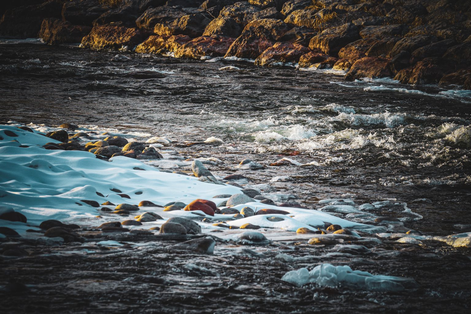 Nature advocacy law center to protect rivers via art, legal innovation ...