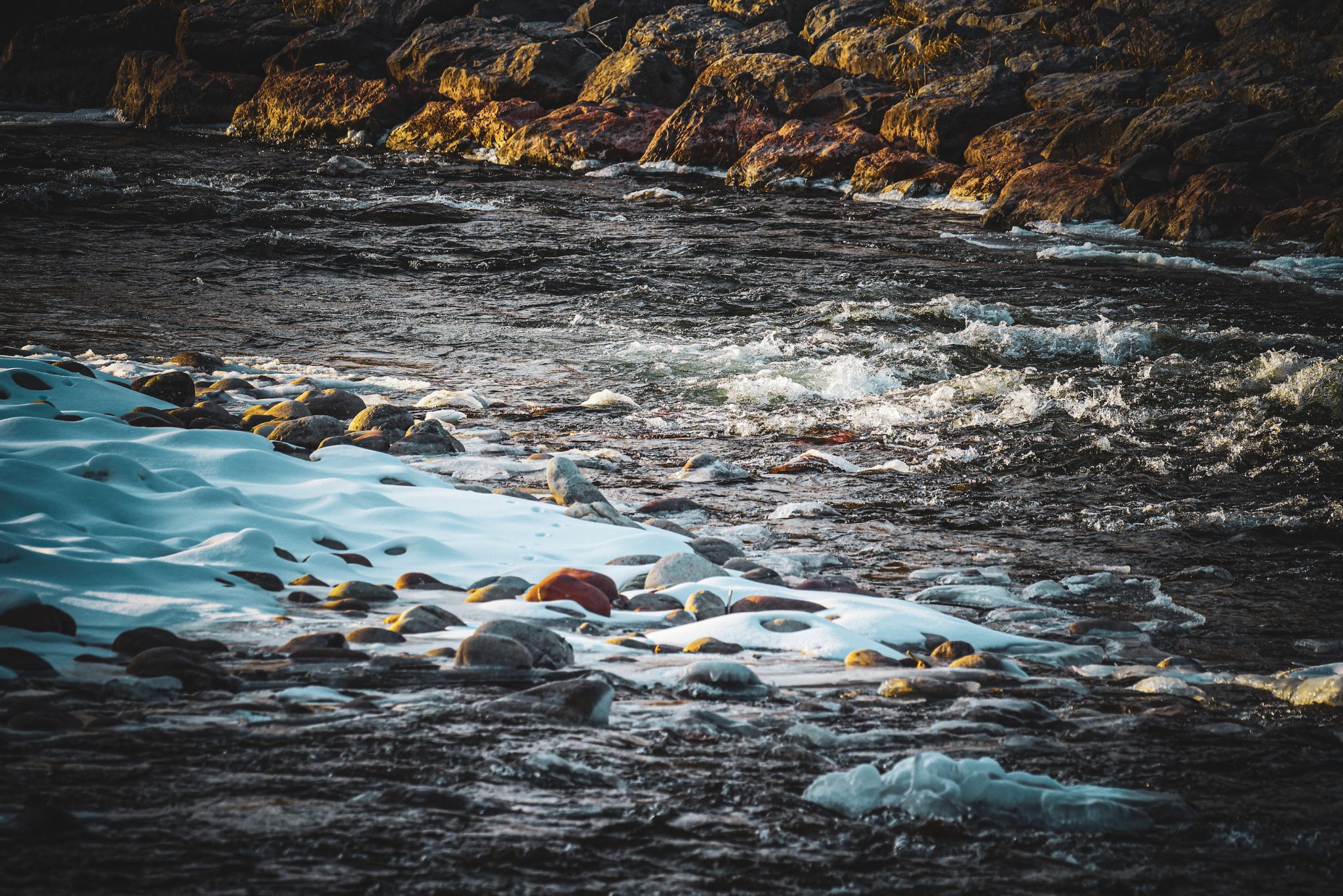 Nature advocacy law center to protect rivers via art, legal innovation ...