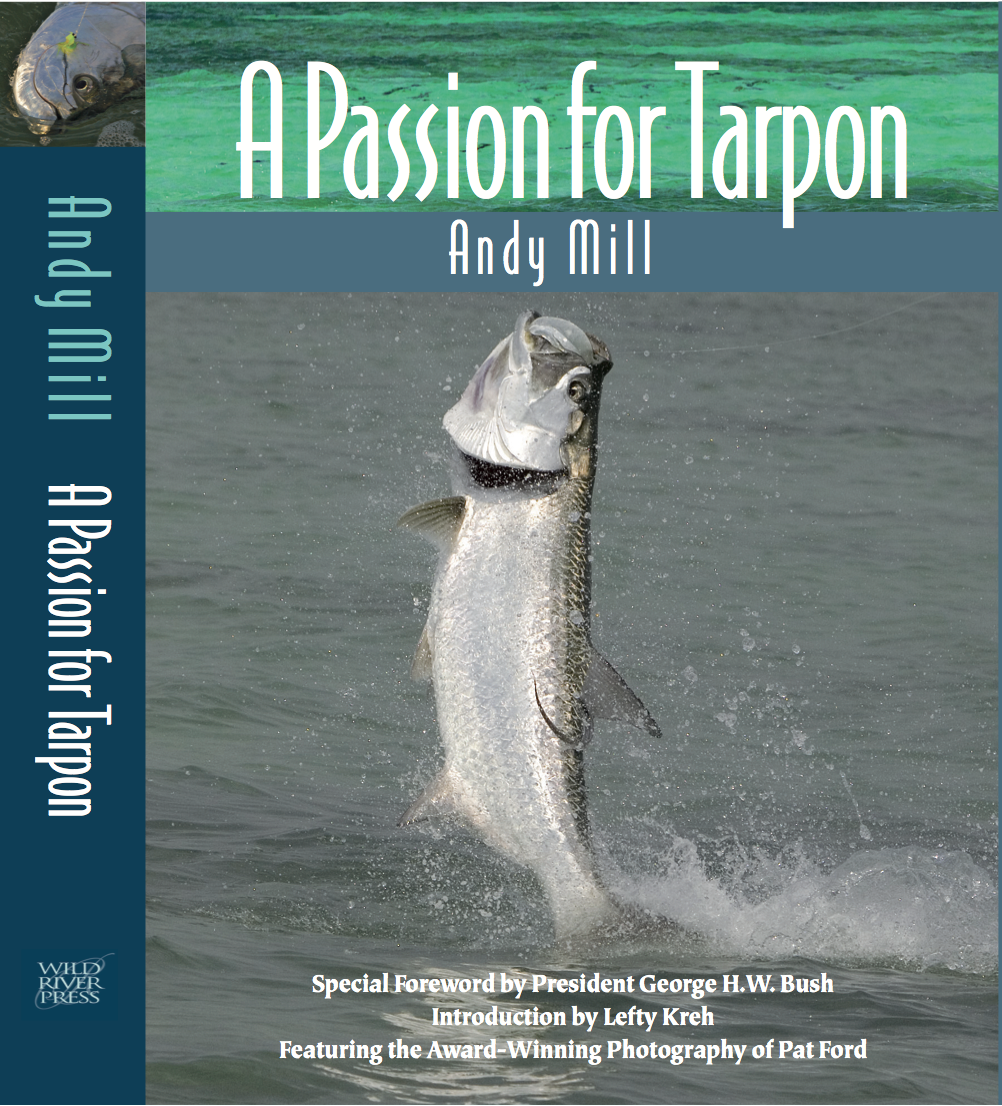 Aspen Olympic ski racer Andy Mill headed to another hall of fame — this ...