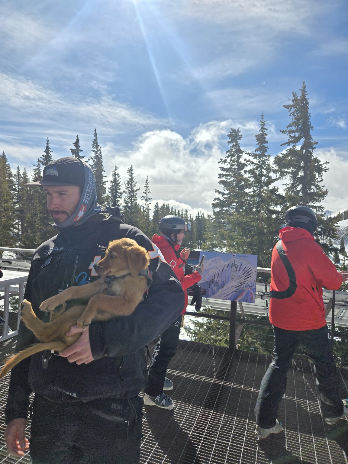 New dog in town: Goose makes her entrance as Aspen Highlands’ patrol ...