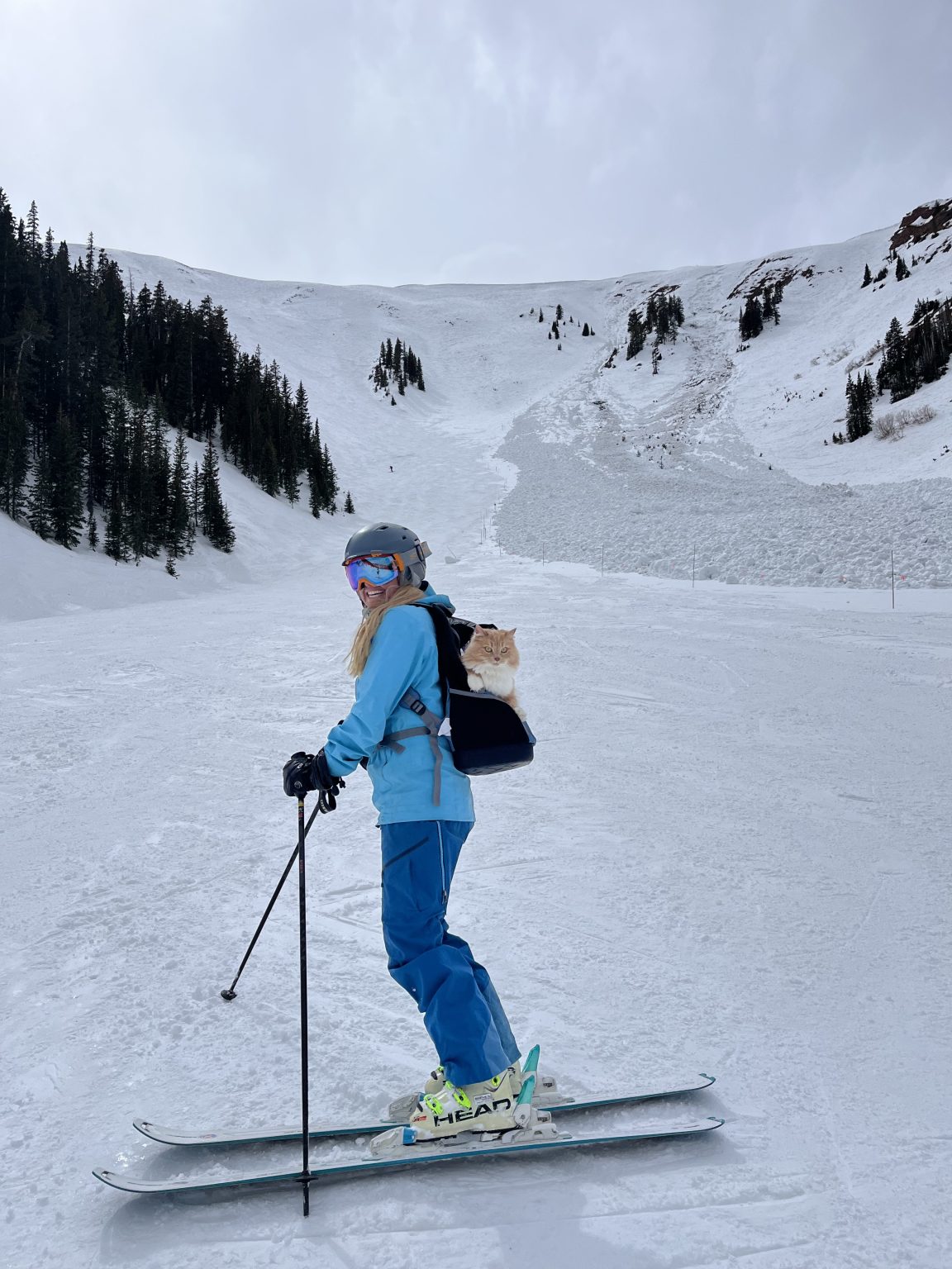 First cat ascends Highland Bowl prior to closing day | AspenTimes.com