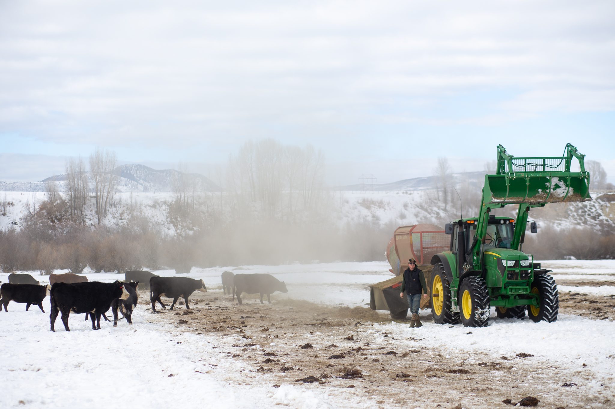 Colorado’s range rider program is bringing help directly to producers ...