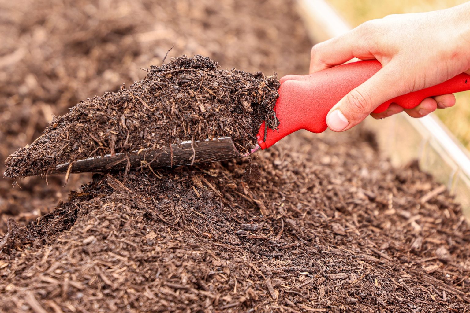 Yard waste dumping program available this week in Basalt | AspenTimes.com