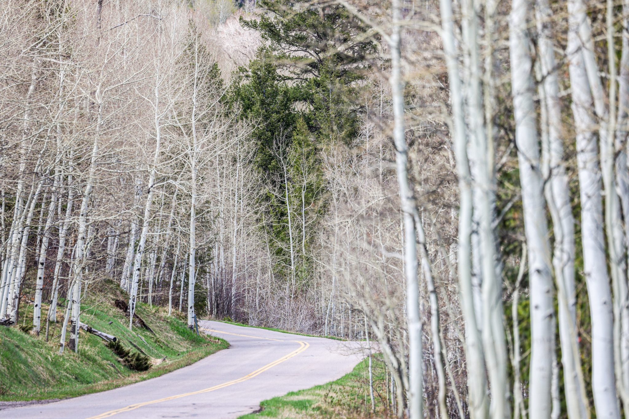 U.S. Forest Service district ranger gives stark insight into future of ...