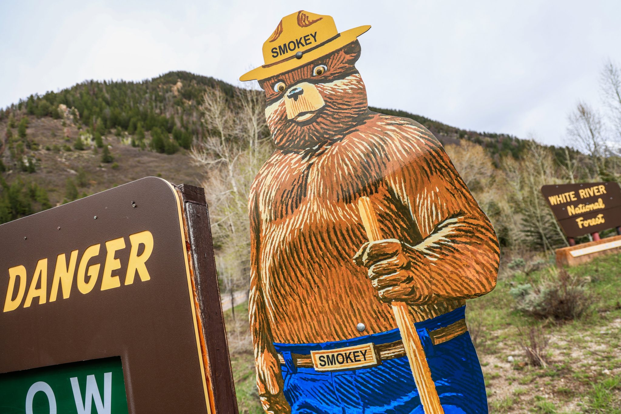 U.S. Forest Service district ranger gives stark insight into future of ...