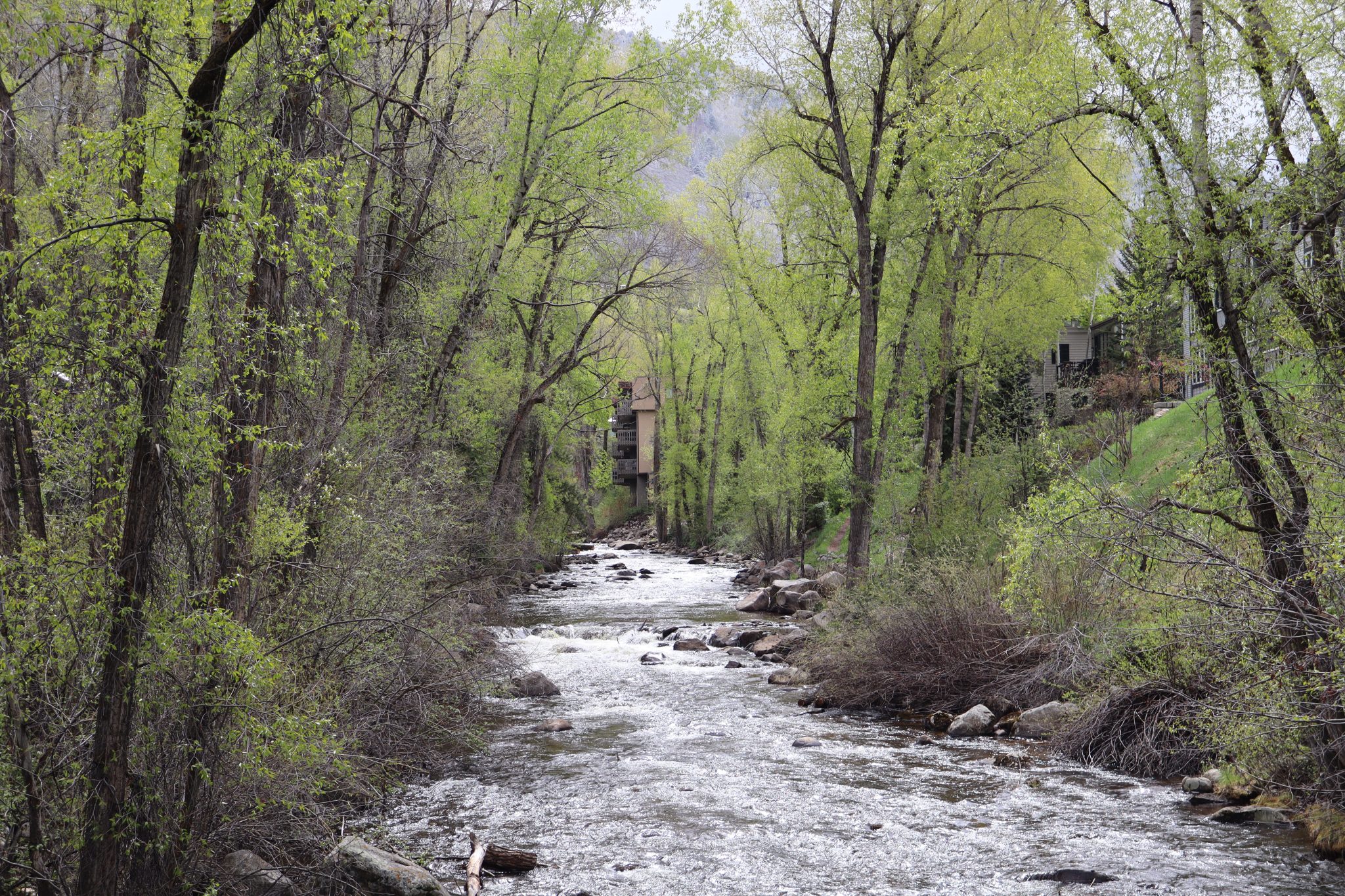 Low snowpack leading to an early — and very low — peak runoff for ...