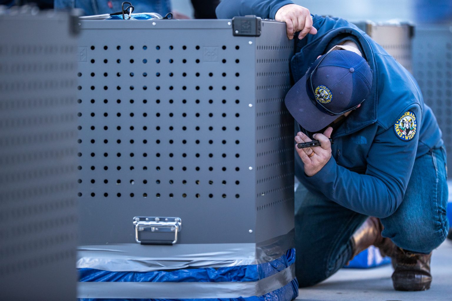 From gun control to wolves and wild bison: Here’s how 9 bills from the ...