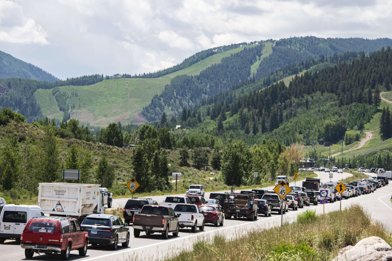 Aspen highway data shows wildlife cause majority of incidents ...