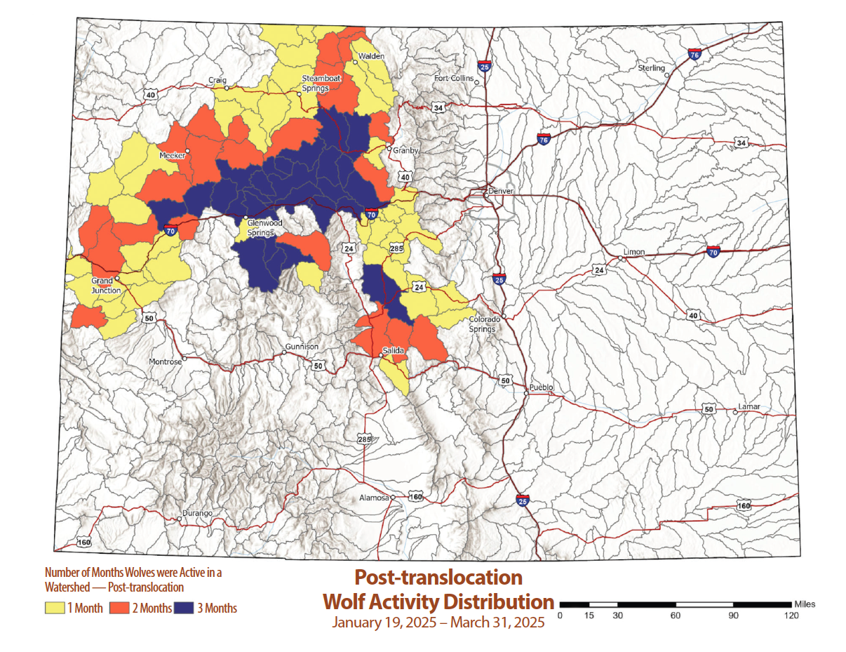 By the numbers: What Colorado Parks and Wildlife’s second annual wolf ...