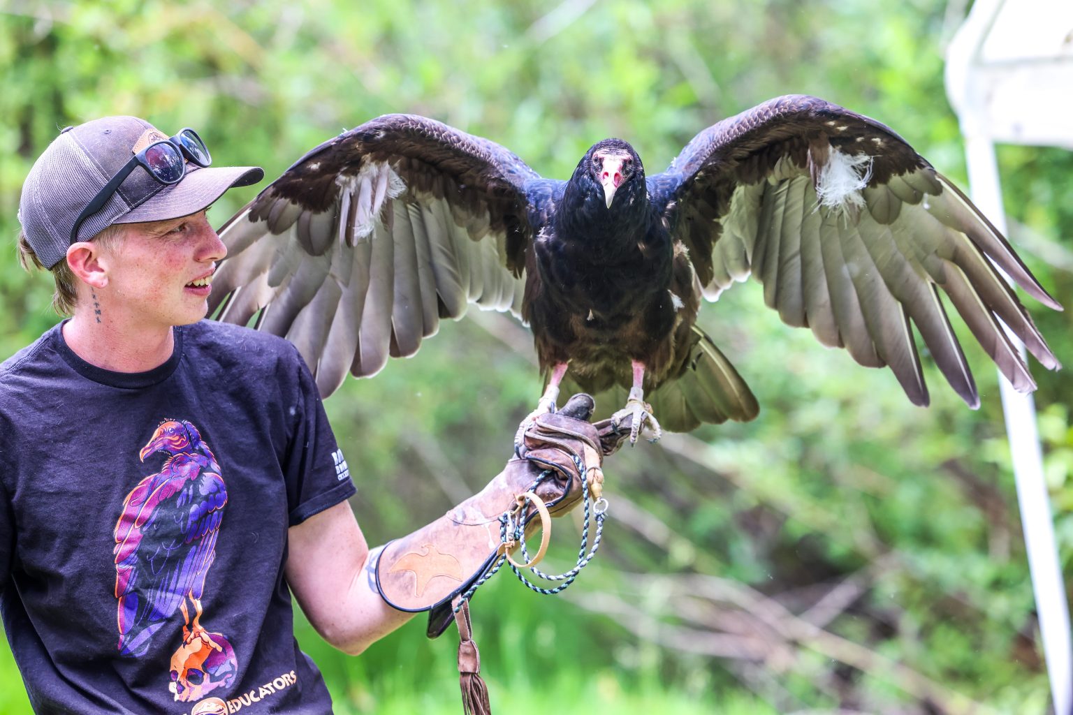PHOTOS: Annual Raptor Fair brings all the birds to the ACES yard ...