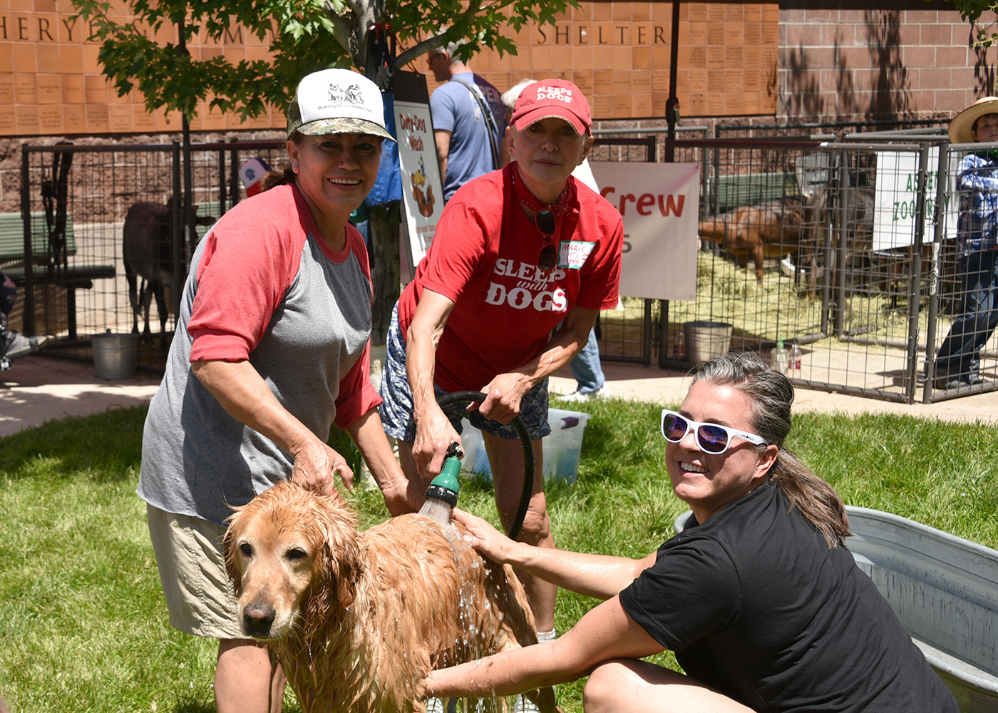 Aspen Animal Shelter’s free carnival to celebrate community ...