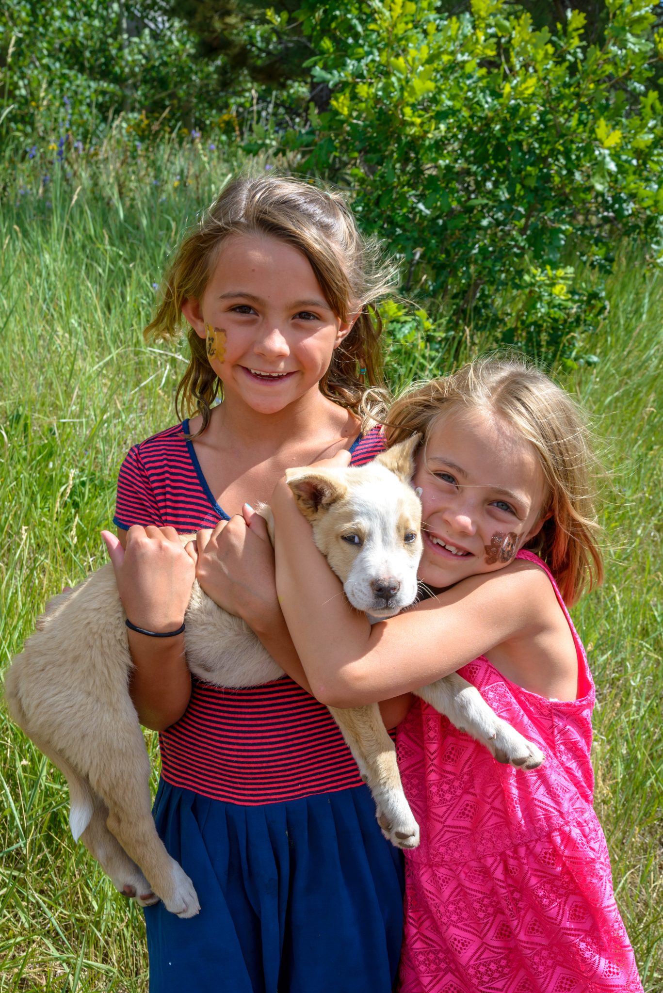 Aspen Animal Shelter’s free carnival to celebrate community ...